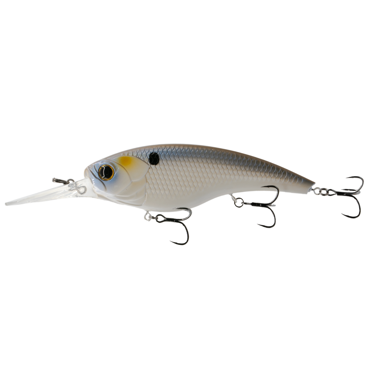 Pump 125DD - Natural Shad – 6th Sense Fishing Wholesale