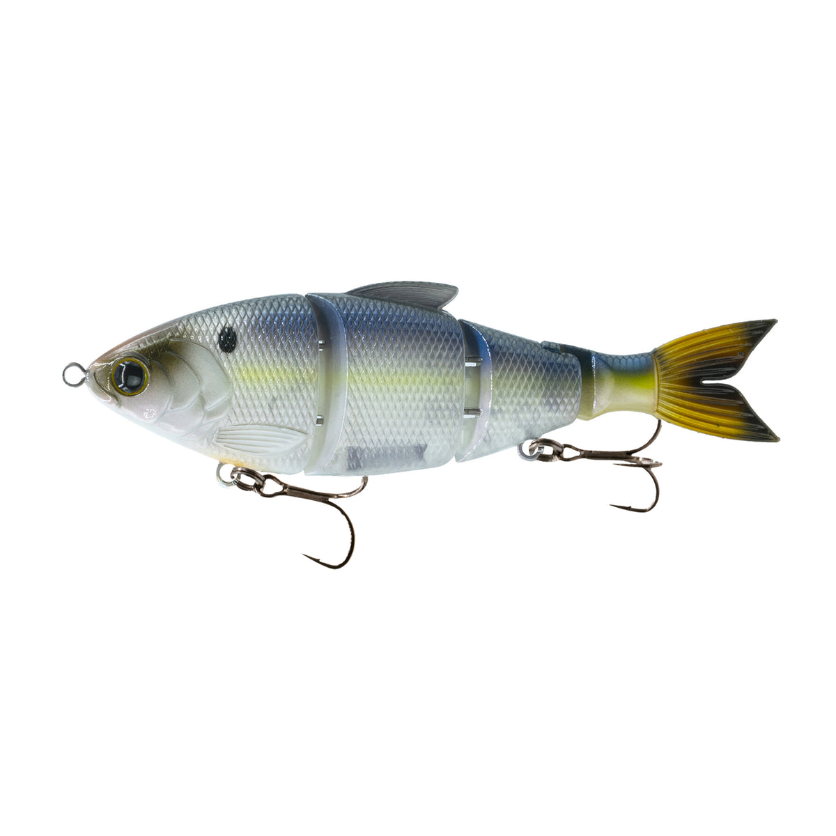 6th Sense Fishing - Trace - Live Shad – 6th Sense Fishing Wholesale