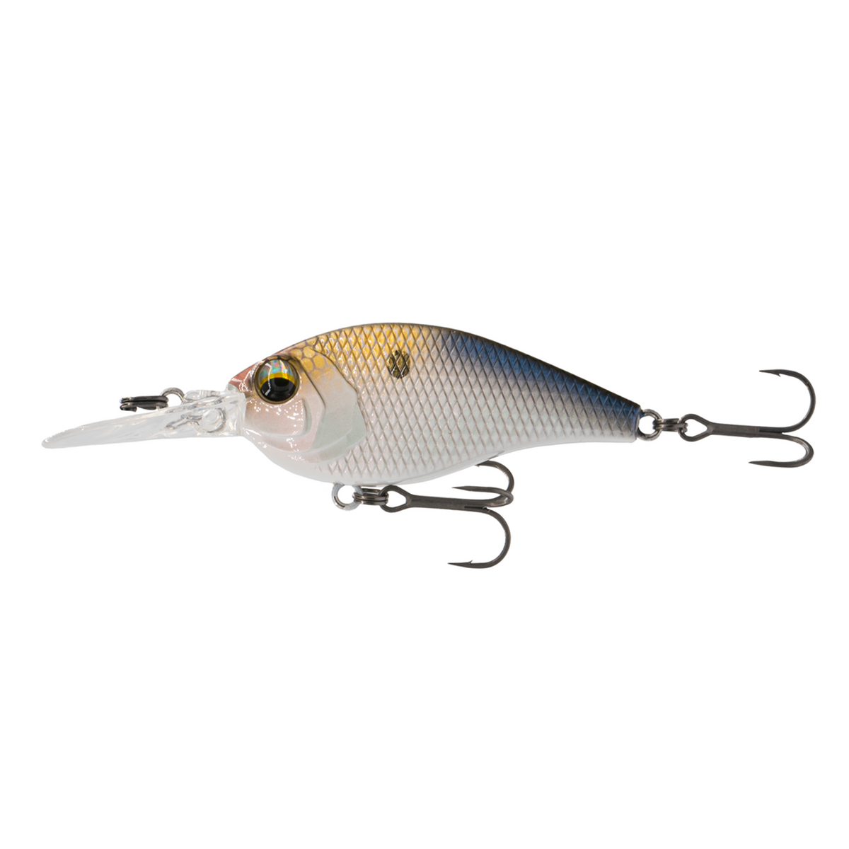 6th Sense Fishing - Pressure Series - 4K Shad – 6th Sense Fishing Wholesale