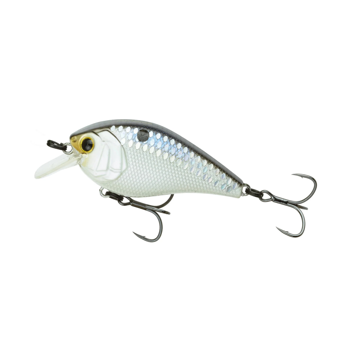 6th Sense Fishing - Crush Series Squarebill Crankbait - Shad Scales ...